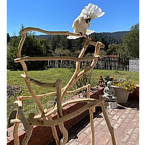 ExoticDad XS Parrot Stand - Customize Your Perch Designed Natural Dragonwood Bird Perch on Wheels Stand for Parrot, Cockatoo, Macaw, Conure, Birds, Cockatiel, African Grey - (24×36 Ft - B - 4 Ft H)