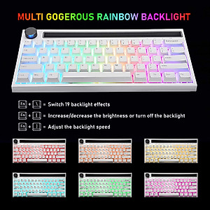 Bluetooth Mechanical Gaming Keyboard with 19 RGB Backlight Mini 61 Key Multimedia Knob Rechargeable 4400mAh Battery Type C Wired/Wireless for PC Mac Mobile Phone Gamer Typist (White/Blue Switch)