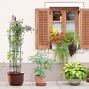 2 Pack Garden Trellis for Climbing Plants Outdoor, Rustproof Plastic Coated Metal Stake Tall Tower Obelisk Trellis for Potted Plant Support Indoor Outdoor Rose Trellis for Vegetable Vines, Lightweight