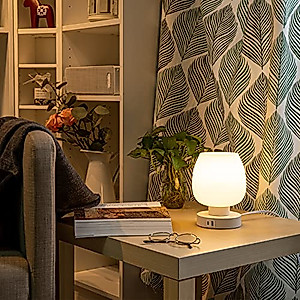 Touch Bedside Table Lamp - Small Lamp for Bedroom with USB C+A Charging Ports 3 Way Dimmable, Nightstand Desk lamp with White Opal Glass Lamp Shade Warm LED Bulb Included, Simple Design Gifts