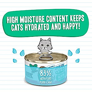 Weruva Best Feline Friend (B.F.F.) Tuna & Pumpkin Valentine with Tuna & Pumpkin in Gravy Cat Food, 3oz Can (Pack of 24)