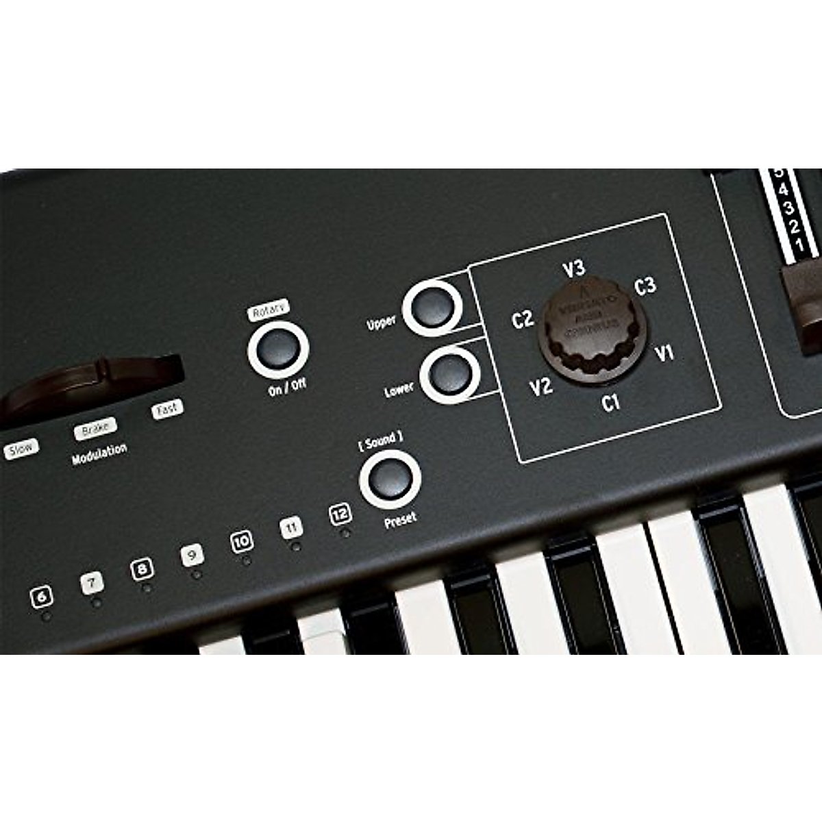Studiologic Numa Organ 73-Key Integrated Digital Organ with Reversed Octave Midi Controller