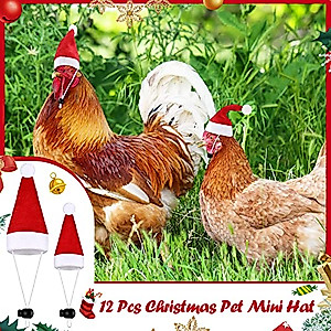 12 Pcs Chicken Christmas Hats for Hens Mini Chicken Santa Claus Hat with Adjustable Chin Strap Small Animals Santa Hat for Hens Chicken Rooster Goose Duck Parrot Christmas Holiday