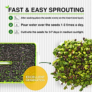 Microgreens Seeds Kit Organic NonGMO Heirloom - Seeds | 6-Pack (150g) Alfalfa, Arugula, Beetroot, Cress, Radish, Sunflower | Indoor Planting and Sprouting