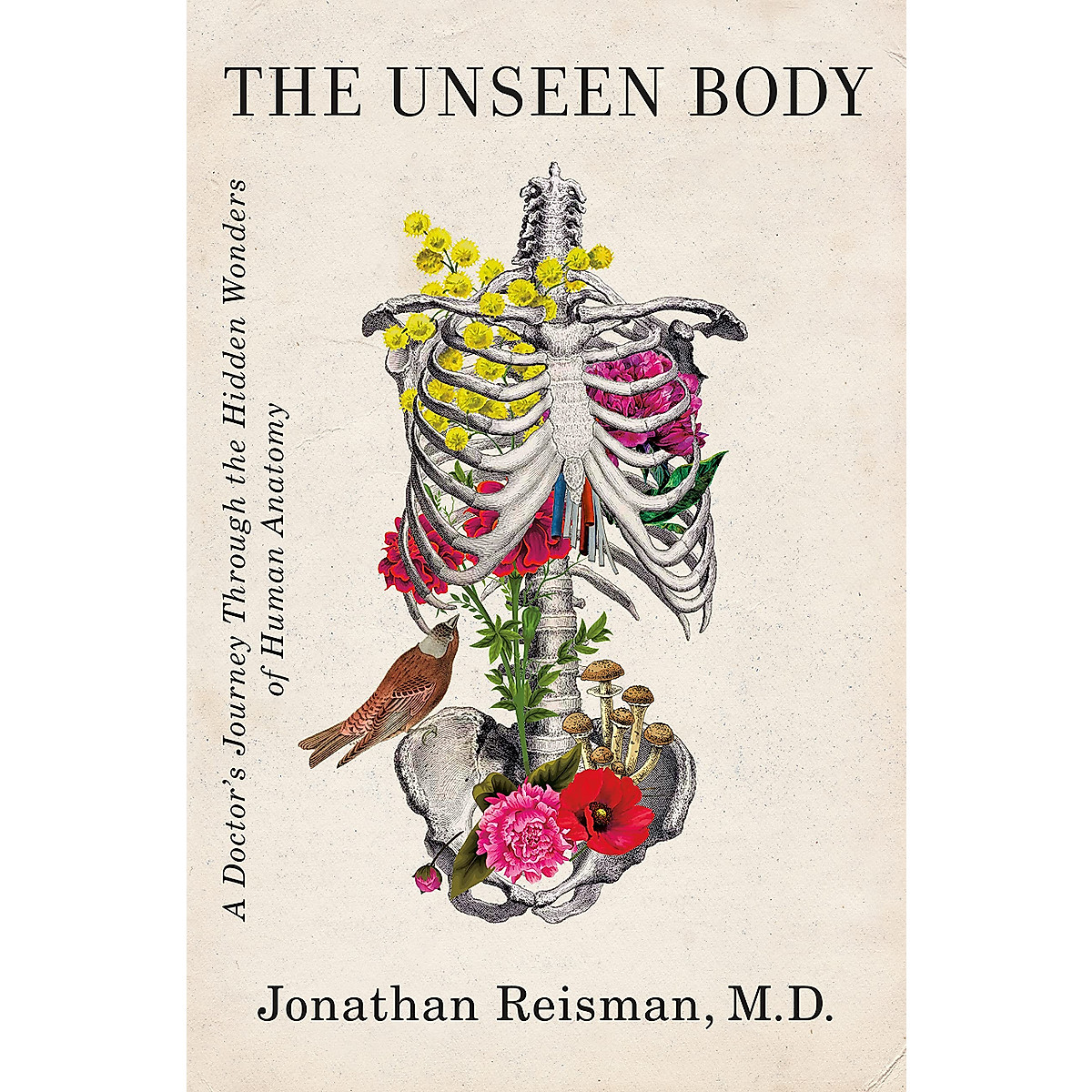 The Unseen Body: A Doctor's Journey Through the Hidden Wonders of Human Anatomy