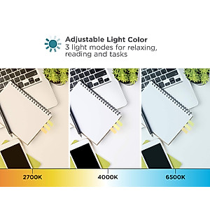 BLACK+DECKER LED Dimmable Desk Lamp with Wood Grain Base,7W, White (VLED1818-BD)