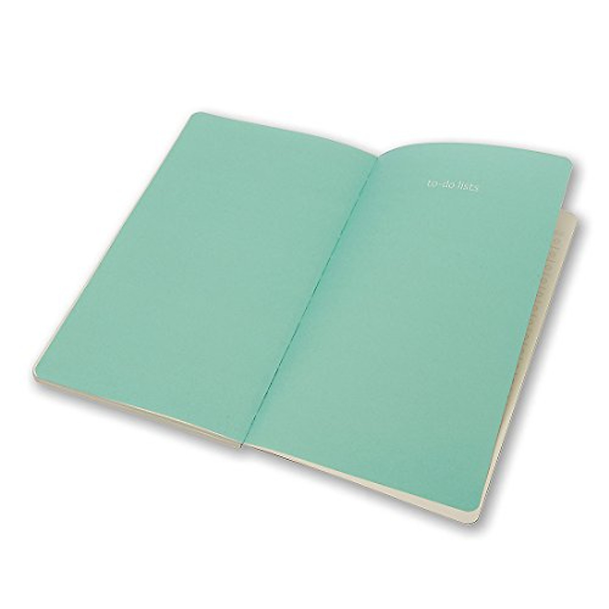 Moleskine Chapters Journal, Slim Large, Ruled, Plum Purple, Soft Cover (4.5 x 8.25)