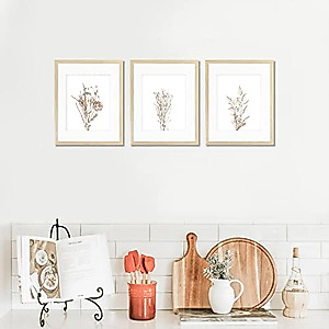 Botanical Wall Art Framed, Boho Wall Art Farmhouse Decor, Rustic Plant Wall Pictures Paintings, Modern Minimalist Boho Theme Art Prints Ready To Hang for Living Room Bedroom Bathroom Kitchen Boho Room Decor (11x14Inch,Framed Wall Art)