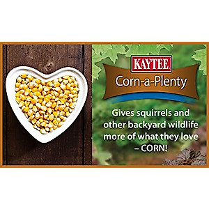Kaytee Corn A Plenty Treat Seed Cake Food for Wild Squirrels, Chipmunks, Rabbits & Other Backyeard Wildlife, 2.5 Pounds
