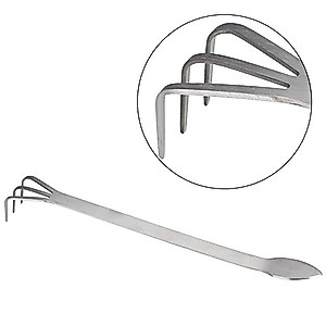 GLOGLOW Root Spatula, Bonsai Rake, Stainless Steel Bonsai Beginner Accessory for Bonsai Bonsai Tool Plant Pot