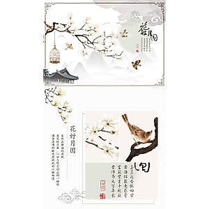 LiveGallery White Peach Blossm Flowers Wall Decals Removable DIY Tree Branches Birds Saying Art Decor Wall Stickers Murals for Living Room TV Background Kids Girls Rooms Bedroom 8 Sheets of 12"x18"