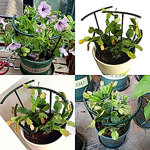 14Pcs Plant Support Plant Stake Half Round Plant Support Ring Garden Flower Support Plant Support Stakes for Tomato, Hydrangea, Indoor Plants, 6.3" Wide X 10.3" High