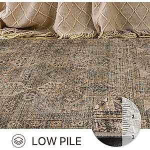 Bavni Area Rug 8x10 Machine Washable Vintage Distressed Print Ultra-Thin Chenille Bedroom Living Room Accent Rug, Low Pile Lightweight Non Slip with Gripper, Sage/Charcoal