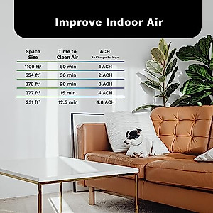 DH Lifelabs | Sciaire Mini + HEPA Air Purifier | Ions Actively Clean & Deodorize Air | Eliminates 99.9% of Bacteria & Viruses | H13 HEPA Purifier Filter for Allergies Pets | Bedroom Home | White