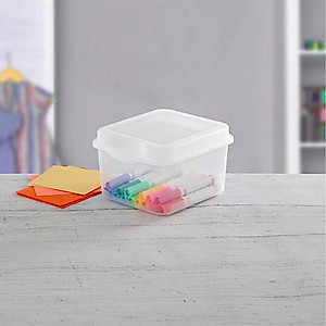 IFFANY Plastic FlipTop Hinged Storage Box Container w/Latching Lid (12 Pack)
