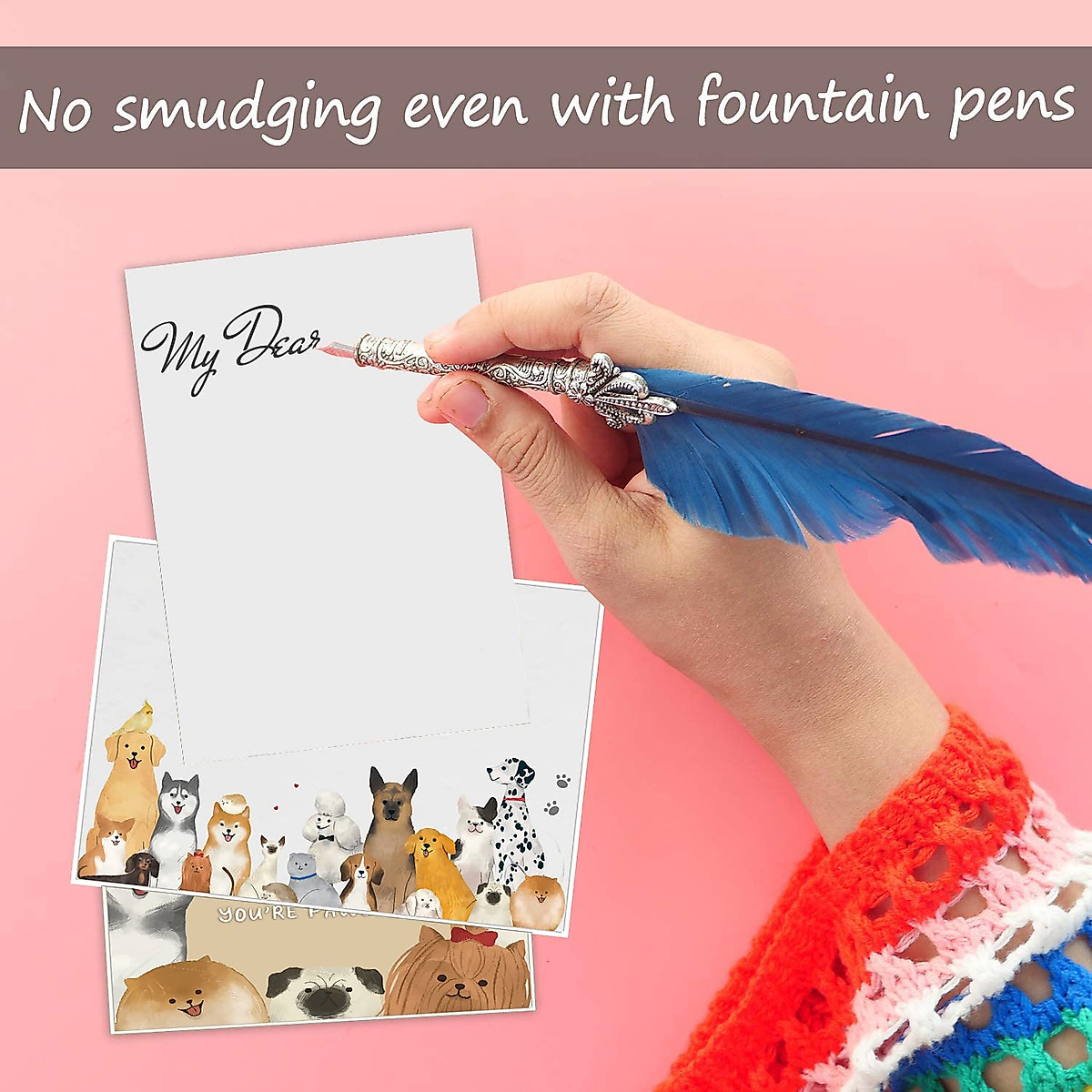 48 Dog Thank You Card Set, Dog Pun Note Cards Pack with Envelopes, Puppy Greeting Notecards Bulk, Cute Boxed Assortment Quip Cards for Gratitude, Recognition, Appreciation, 4 x 6 in