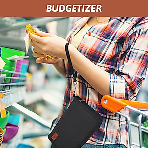 Nordun 13 Pockets Receipt Coupon Organizer with Card Holder, Mini Expandable Ticket Storage & Card Case with Labels,Check/Bill/Invoice/Cash Sorter Wallet,for Home, Purse