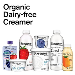 Forager Project Organic Cashewmilk Yogurt, Unsweetened Vanilla Bean, 24-Ounce