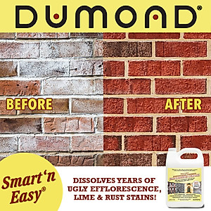 Smart 'n Easy Efflorescence Remover - Heavy Duty Professional Strength Formula - Removes The Toughest Salt, Calcium, and Magnesium Deposits from Concrete, Brick, Stucco, Pavers, & More - 1 Gallon