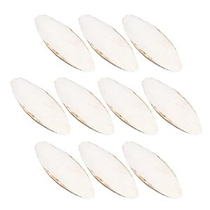 Kaying Bird Cuttlebone,Bird Cuttlebone Chew Toy,Natural Cuttlebone Parrot Chew Toys Chewing Cuttlefish Bone Bird Cuttlebone for Parakeets Cockatiel Macaw Conur ( 10cm-10/20 Pcs )