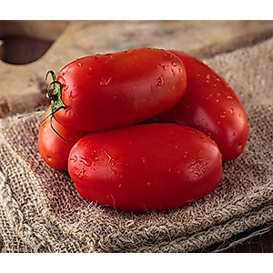David's Garden Seeds Tomato Paste Roma Determinate San Marzano 4129 (Red) 25 Non-GMO, Heirloom Seeds