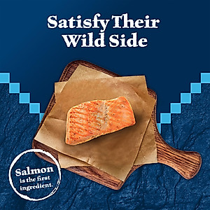 Blue Buffalo Wilderness Crunchy Cat Treats, Made with Natural Ingredients, Tasty Salmon Flavor, 12-oz Tub