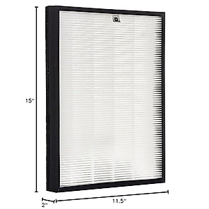 Alexapure Breeze Certified Replacement Filters – 1 True HEPA Filter and 1 Activated Carbon Filter