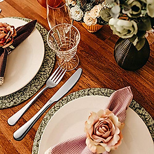 HIWARE 12-piece Good Stainless Steel Dinner Knives, 9 Inches