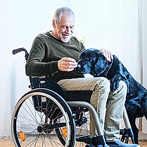 AUVON Wheelchair Seat Cushions (18"x16"x3") for Sciatica, Back, Coccyx, Pressure Sore and Ulcer Pain Relief, Memory Foam Pressure Relief Cushion with Removable Strap, Breathable & Waterproof Fabric