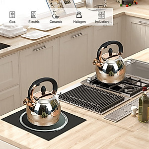 Stainless Steel Whistling Tea Kettle with Metal Capsulated Bottom for Quick Heat Distribution 2.8 Quart