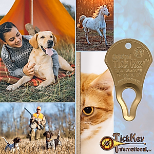 The Original Tick Key - Tick Detaching Device - Portable, Safe and Highly Effective Tick Detaching Tool 3 Pack (Assorted)