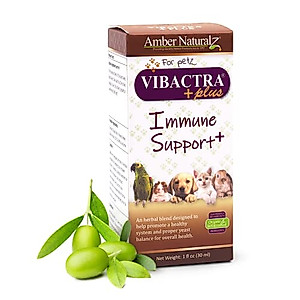 Amber NaturalZ - Vibactra Plus Immune Support Plus - an antioxidant enriched formula helps fight free radicals, supports healthy yeast balance, maintains healthy gut flora, supports upper respiratory health and oral health - 1 Oz