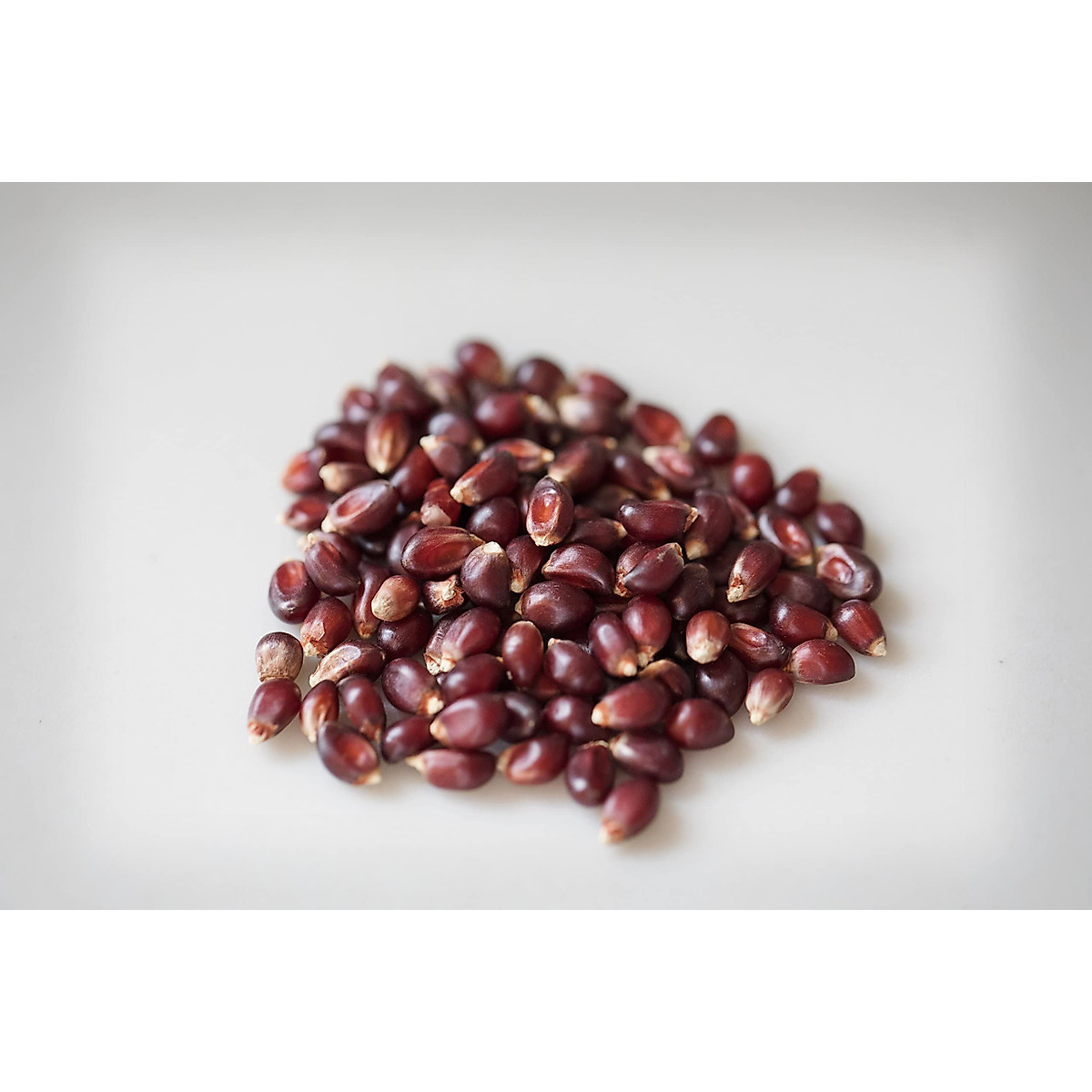 Amish Country Popcorn | 2 lbs Bag | Red Popcorn Kernels | Old Fashioned, Non-GMO and Gluten Free (Red - 2 lbs Bag)