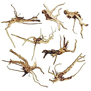 kathson Natural Aquarium Driftwood Reptile Branches Wood Terrarium Ornament Trunk Fish Tank Log Habitat Decoration Tree Stump Decor Assorted Sizes Wood 7 PCS