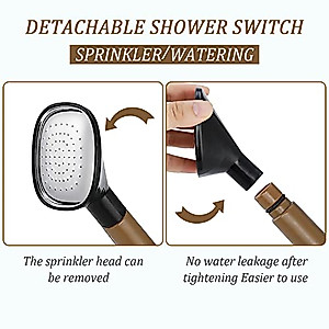 1 Gallon Watering Can for Indoor Plants, Garden Watering Cans Outdoor Plant House Flower, Gallon Watering Can Large Long Spout with Sprinkler Head