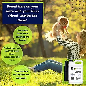Z-Defense Patio, Lawn and Garden Spray Permethrin Insecticide, Gallon with Battery Operated Wand/Sprayer. Permethrin Based Pesticide Kills Ticks, Fleas, Flies, Spiders, Ants and Mosquitoes.