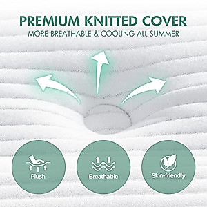 14 Inch Queen Mattress, Lechepus MDI Memory Foam Hybrid Mattresses with Individual Pocket Spring, Medium Plush Comfy Mattress in a Box for Cool Sleep & Pressure Relief