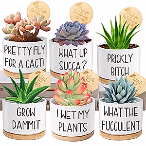 Succulent Pots 6 Pack, 3.15” Ceramic Funny Succulent Planters with Drainage and Bamboo Tray, Small Plant Pots with Plant Labels for Indoor Outdoor Plant, Birthday Gifts for Women - Plants Not Included