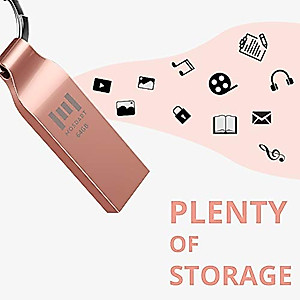 MOSDART 64GB Metal USB 2.0 Flash Drive 2 Pack exFAT Thumb Drive with Keychain 64 GB Waterproof Jump Drive 64G Memory Stick for Data Storage and Backup, Rose Gold