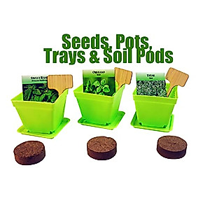 Herb Window Garden Gift Set- Complete windowsill herb Garden Growing kit Including Seeds, pots, Quality herb Clippers, Soil pods All in a Beautiful Planter Box. Hands on Gift Set.