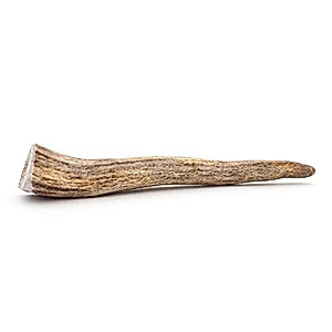Spizzles Elk Antler Dog Chew Solid, Long Lasting Bone for Small Breed Aggressive Chewers, All Natural, No Odor, No Mess, No Preservatives, USA, 4 inch
