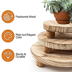 Set of 3 Mini Wooden Stool Display Stand - Round Decorative Flower Shelf Bonsai Rack Garden Plant Pot Riser Holder Modern Plant Stand with Wood Grain for Indoor Outdoor Home Patio Decoration (S, M, L)