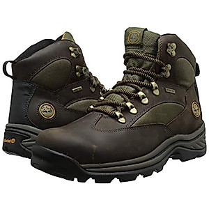 Timberland Men's Chocorua Trail Mid Waterproof Hiking Boot, Brown/Green, 12 D - Medium