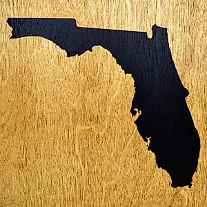Florida Wall Decor - 8"x8" Decorative State Map Silhouette Wood Sign - Rustic Home State Pride Gifts and Decorations