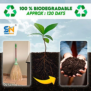 SN SKENNOVA - 28-29 inch Tall of Asian Straw Broom Thai Natural Grass Broom Whisk Broom Solid Wood Handle