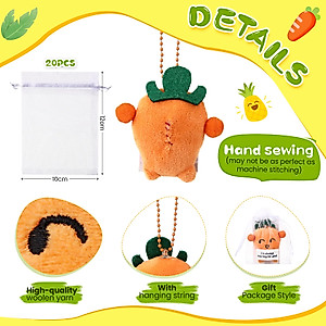 Hotop 20 Sets Christmas Coworker Gifts Bulk Positive Employee Appreciation Gift Inspirational Thank You Staff Gift(Fruits)