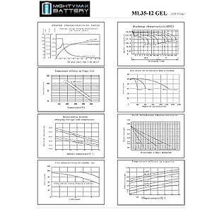 Mighty Max Battery 12V 35Ah Gel Battery Replacement for Deka 8GU1-2 Pack Brand Product