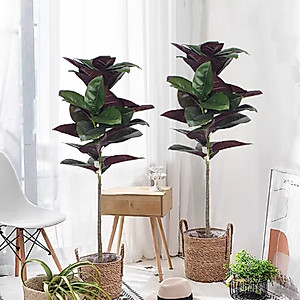 Tommino 4ft 2pcs Artificial Fiddle Leaf Fig Trees in Pot Natural Faux Ficus Lyrata Fake Greenery Plant for Home Office Decoration Indoor Outdoor Decor Living Room Garden