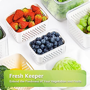 COCOYA 5-Pack Large Fruit Containers for Fridge, Leakproof Produce Storage Keeper with Removable Colander Food Grade BPA FREE Keep Vegetables Berry Veggies Lettuce Apple Banana Meat Food Fresh Longer