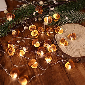 JASHIKA 3D Twinkle Acorn Fall Decorations Harvest String Lights 10ft Copper Wire 30 LEDs Battery Powered with Timer Remote Control for Wedding Bedroom Fireplace Mantel Ice Age Ornaments Home Decor